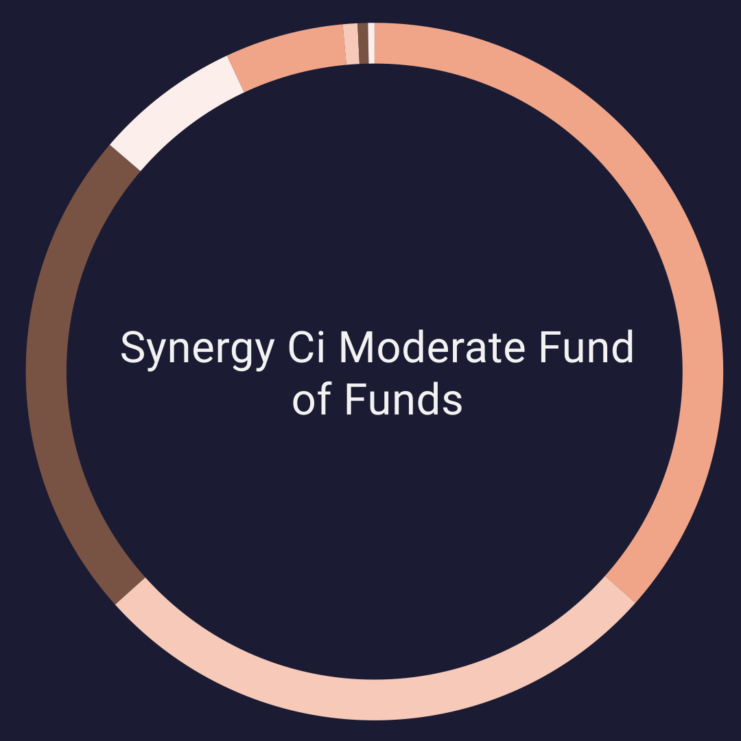 Synergy Ci Moderate Fund of Funds