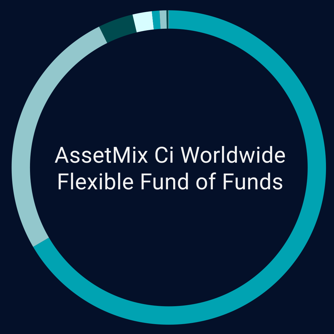 AssetMix Ci Worldwide Flexible Fund of Funds